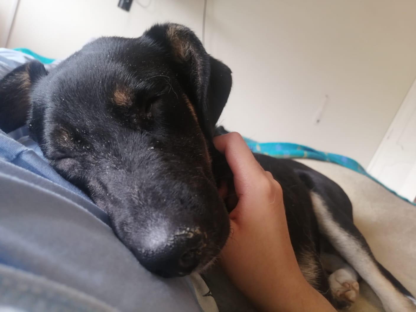 Mia Coronel Vélez – Funeraria Jaramillo