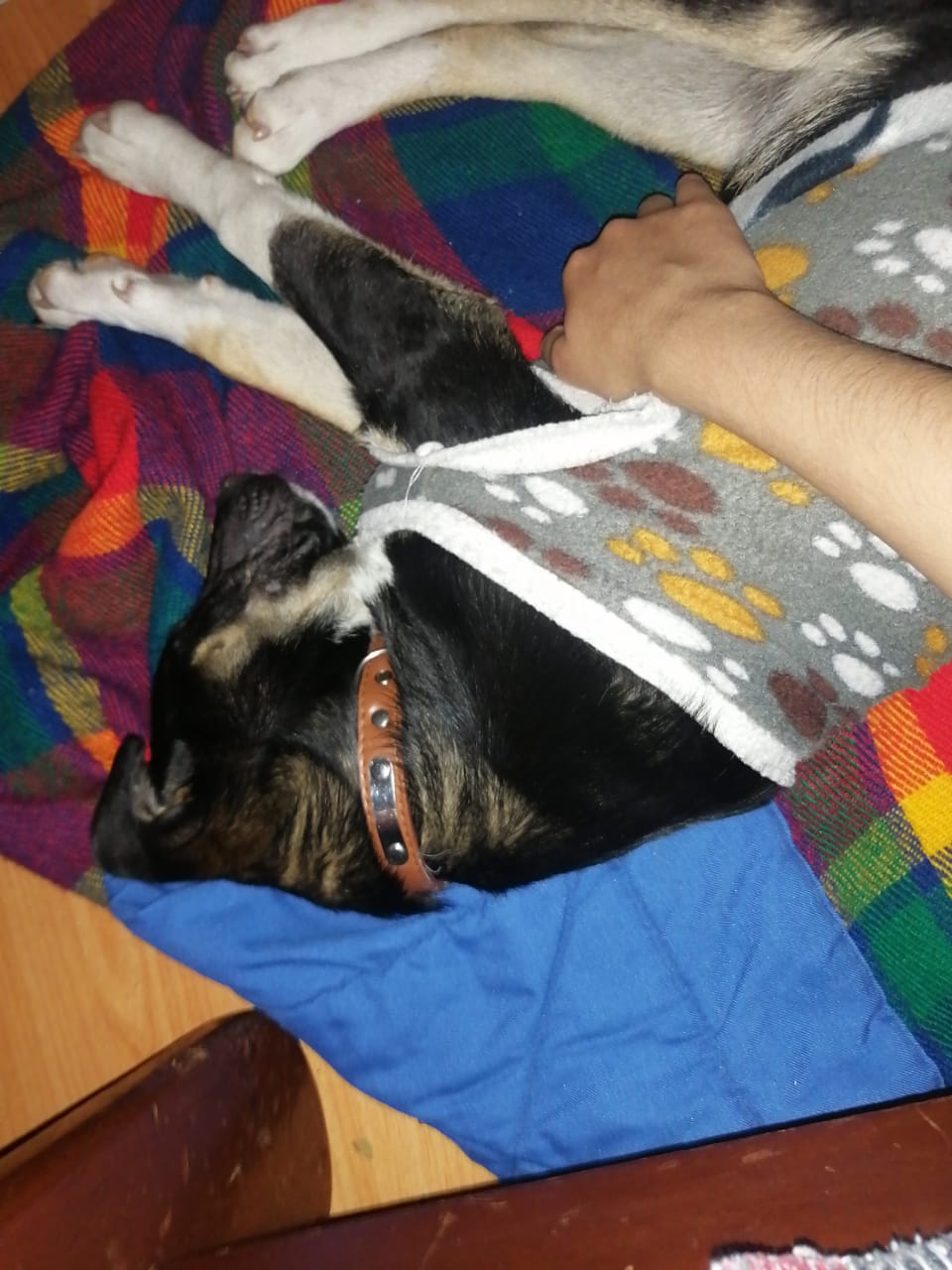 Mia Coronel Vélez – Funeraria Jaramillo