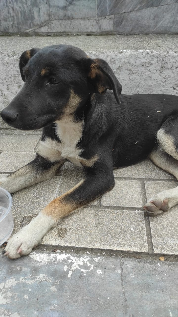 Mia Coronel Vélez – Funeraria Jaramillo