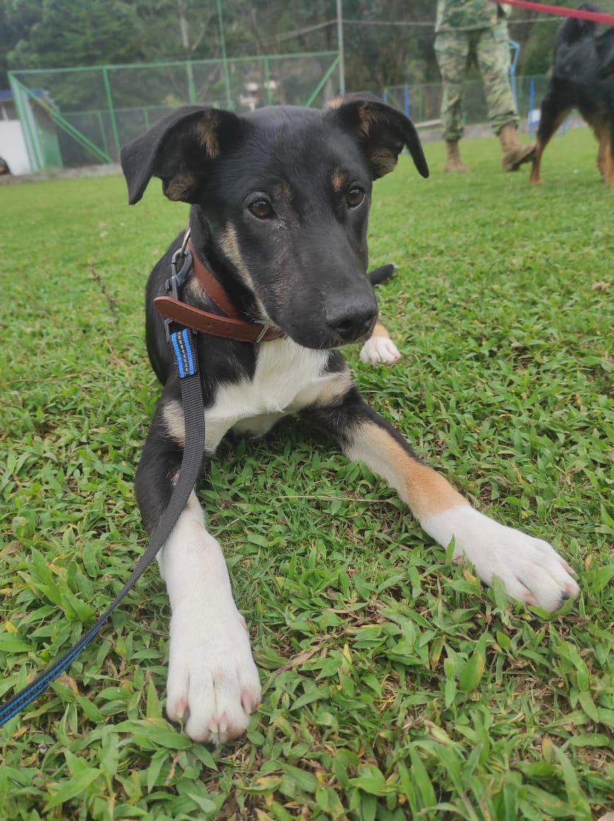 Mia Coronel Vélez – Funeraria Jaramillo