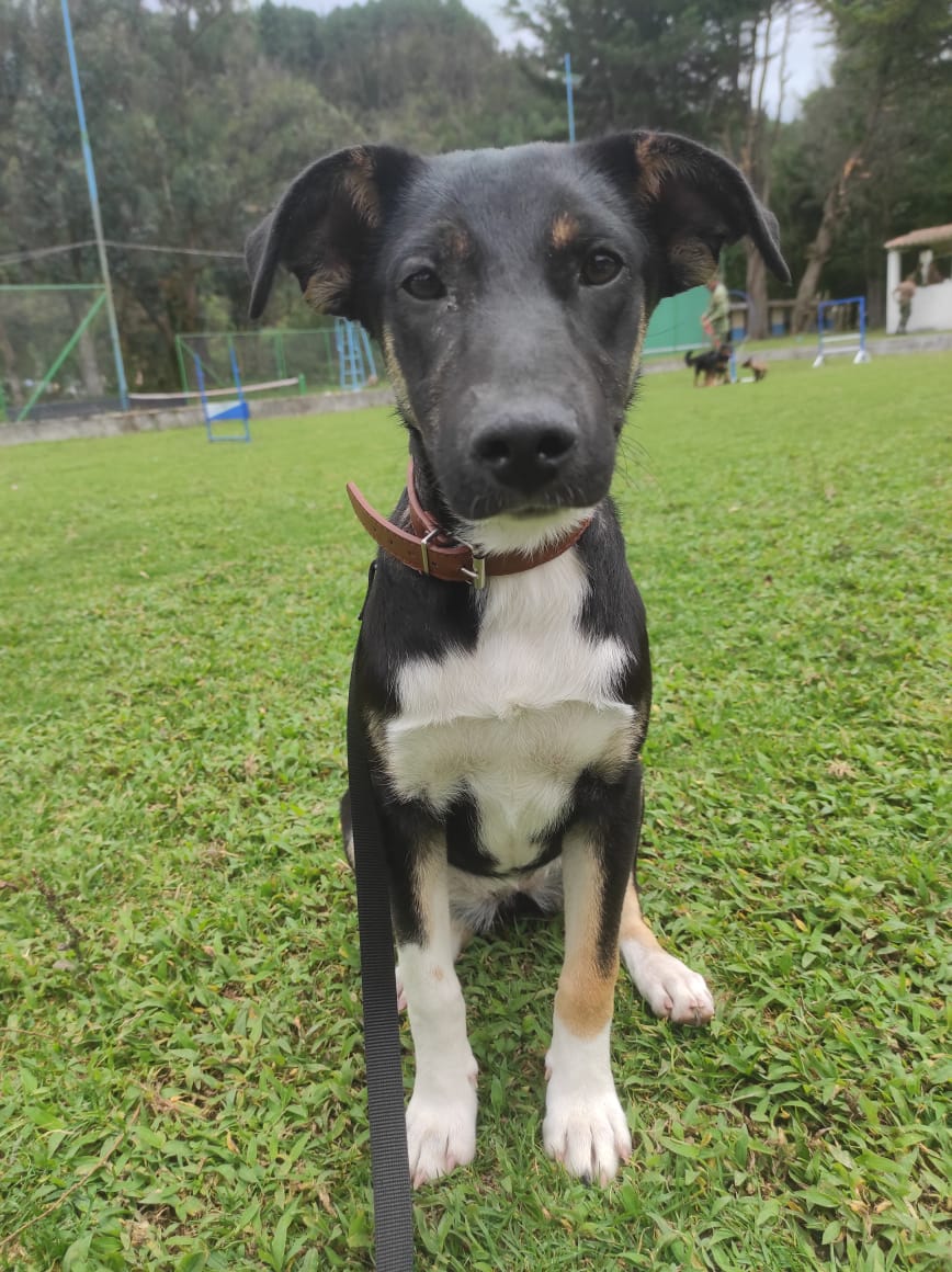 Mia Coronel Vélez – Funeraria Jaramillo