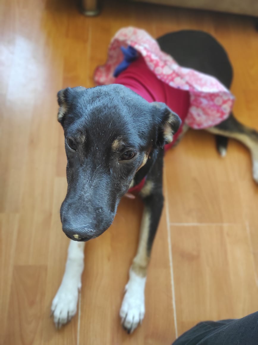 Mia Coronel Vélez – Funeraria Jaramillo