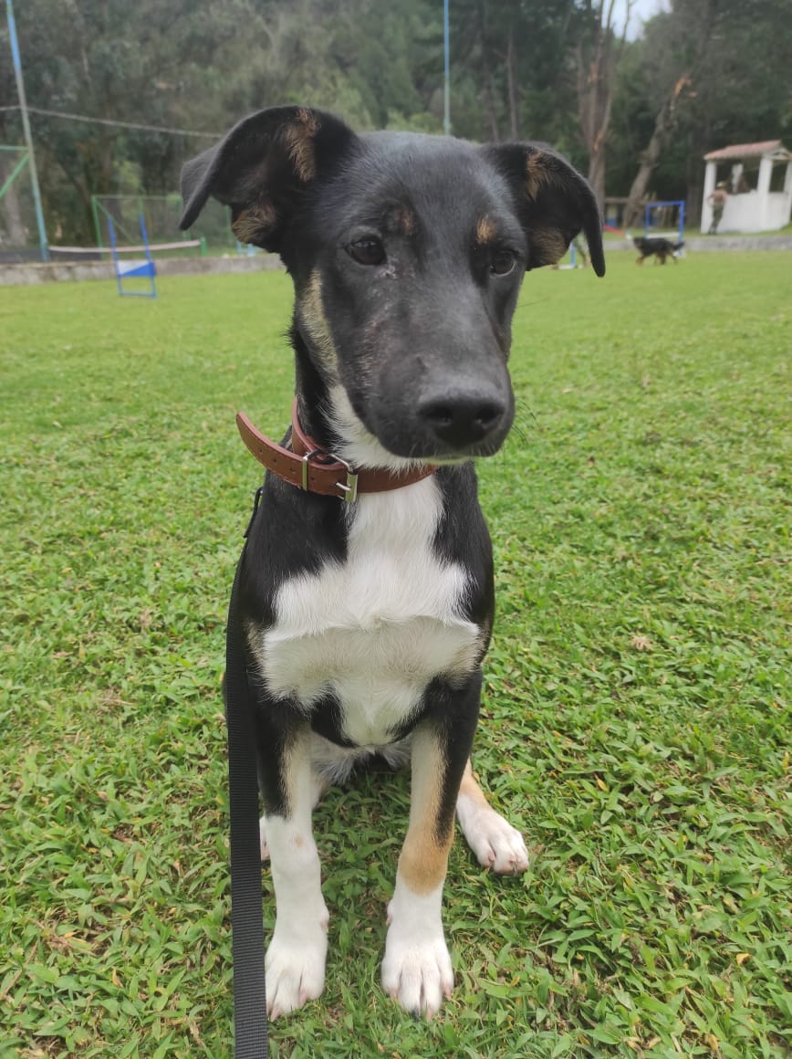 Mia Coronel Vélez – Funeraria Jaramillo