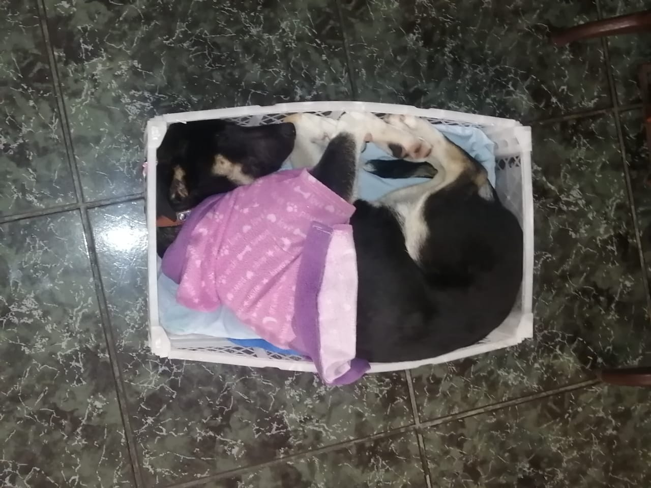 Mia Coronel Vélez – Funeraria Jaramillo