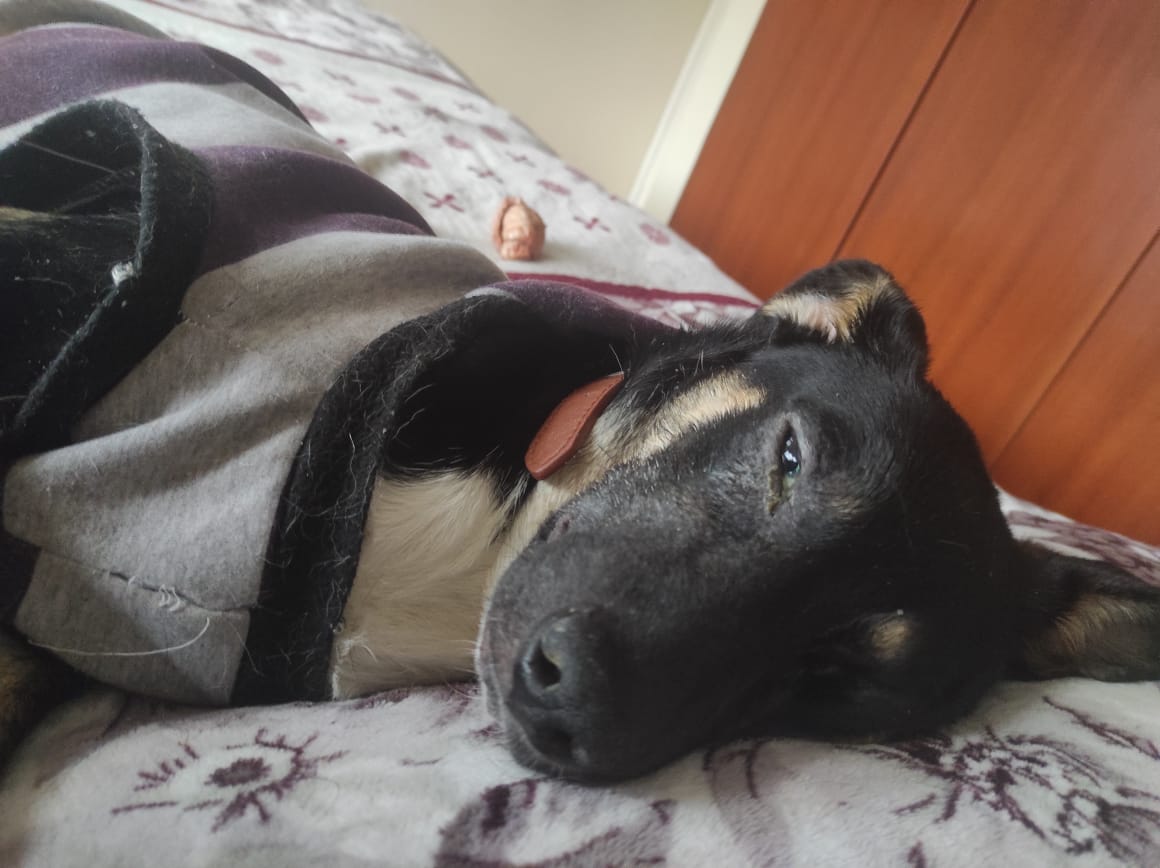 Mia Coronel Vélez – Funeraria Jaramillo