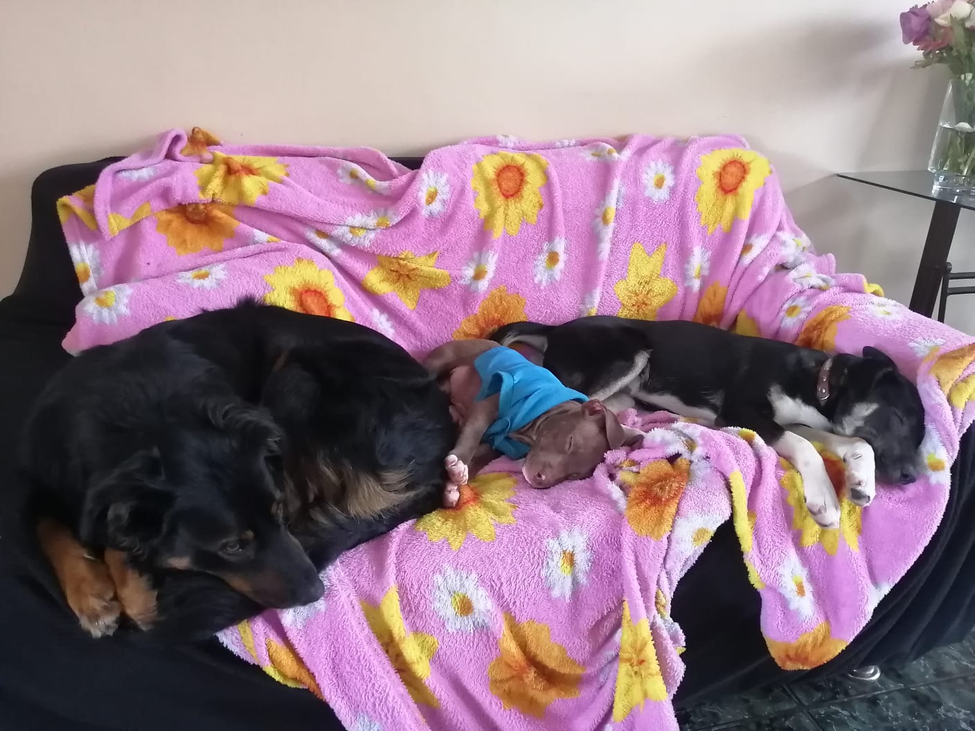 Mia Coronel Vélez – Funeraria Jaramillo